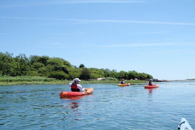 1 Hour Guided SUP/Kayak Tour in Pelican Bay at Fort Myers Beach - An In-Depth Look at the Experience