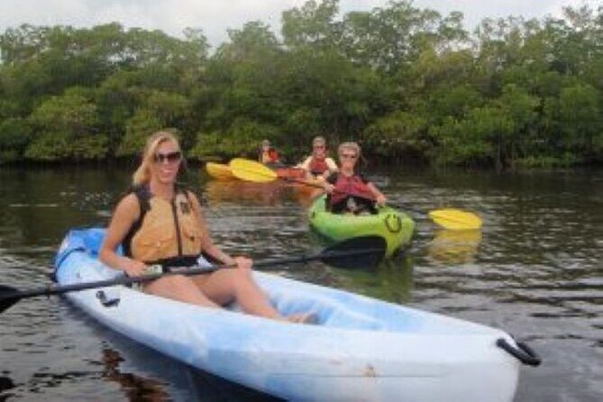 1 Hour Guided SUP/Kayak Tour in Pelican Bay at Fort Myers Beach - The Sum Up