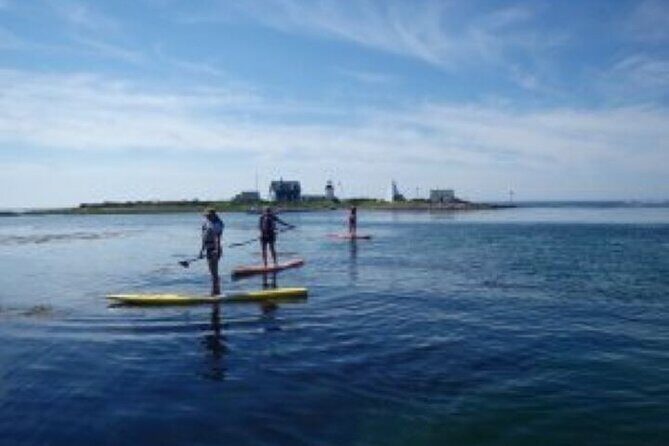 1 Hour Guided SUP/Kayak Tour in Pelican Bay at Fort Myers Beach - FAQ