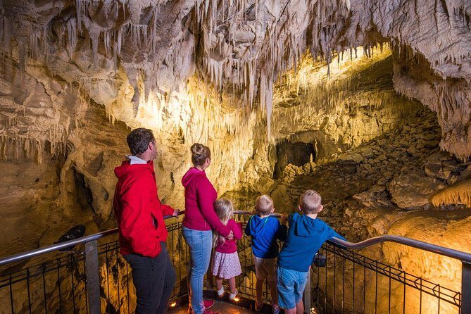 1-Hour Guided Tour of Aranui Cave Waitomo - An In-Depth Look at the Aranui Cave Tour