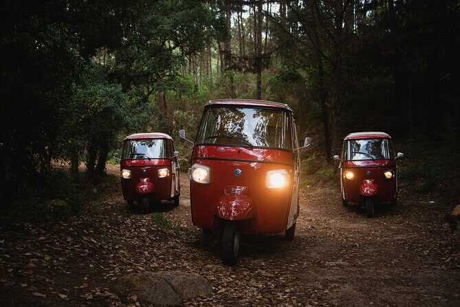 1-Hour Guided Tuk-Tuk Tour in Sintra - What Travelers Say