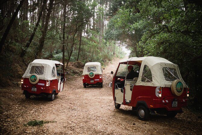 1-Hour Guided Tuk-Tuk Tour in Sintra - The Value and Practicalities