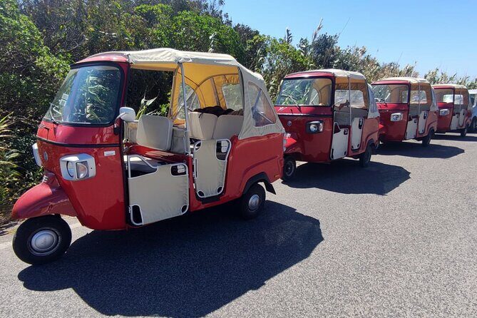 1-Hour Guided Tuk-Tuk Tour in Sintra - Who Will Love This Tour?