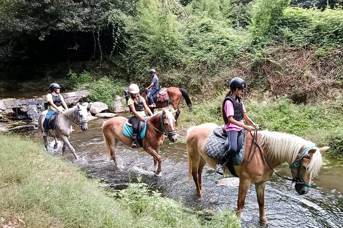 1 hour horseback ride in Valgraziosa Pisa - The Guide and the Experience