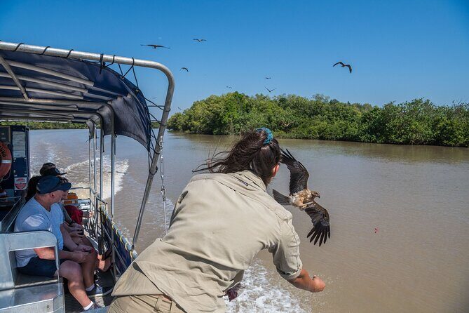 1 Hour Jumping Crocodile Cruise on the Adelaide River - An Authentic Close-Up with Crocodiles near Darwin