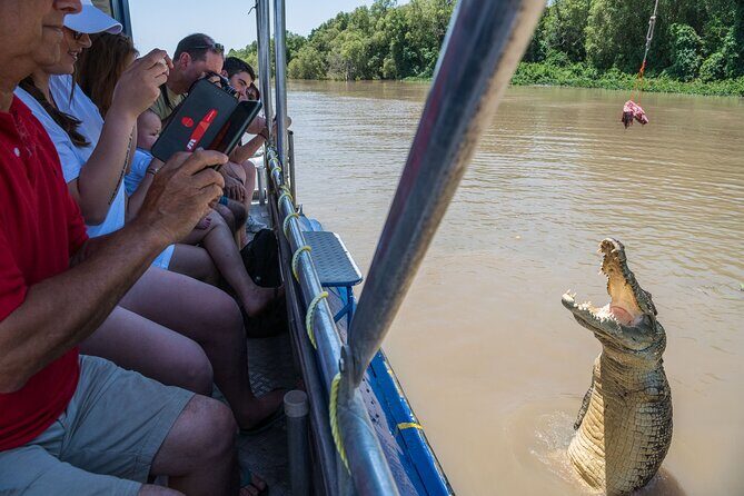 1 Hour Jumping Crocodile Cruise on the Adelaide River - Considering the Value