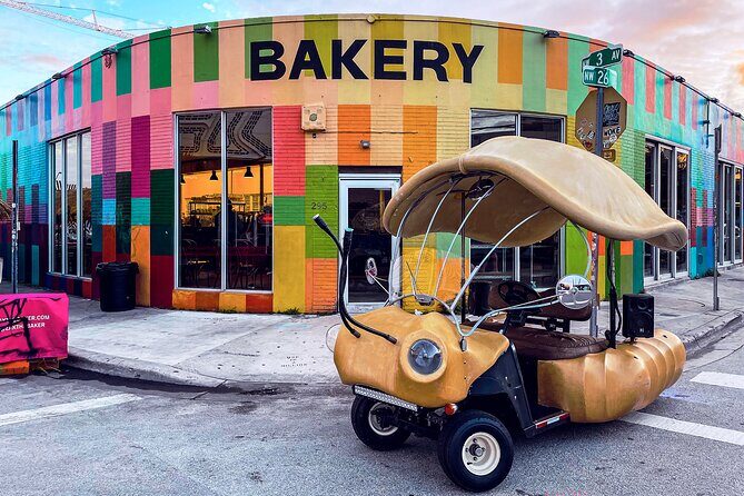 1 Hour Lady Buggy Art Tour Experience in Wynwood - What Travelers Are Saying