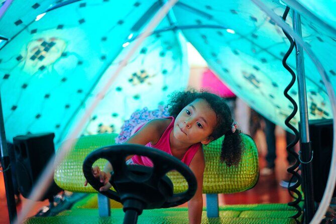 1 Hour Lady Buggy Art Tour Experience in Wynwood - Why Choose This Tour?