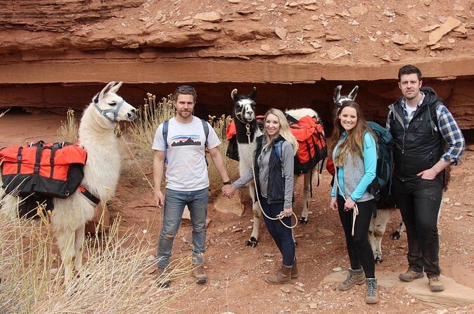 1-Hour Llama Hike Family Friendly and Fun - FAQ