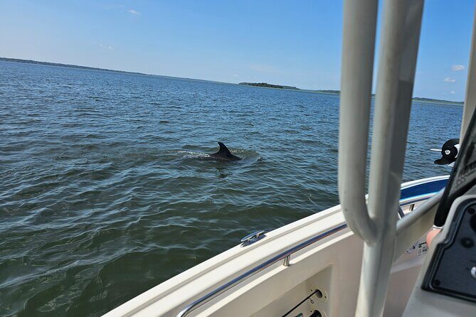 1 Hour Private Dolphin and Nature Tour - The Experience in Detail