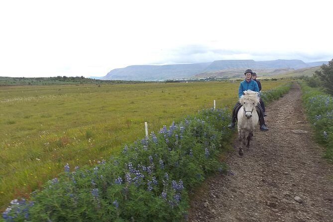 1+ hour Private Horse riding tour from Reykjavík/Mosfellsbær - Starting Point & Transportation