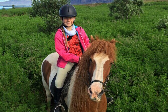 1+ hour Private Horse riding tour from Reykjavík/Mosfellsbær - Considerations & Practical Tips