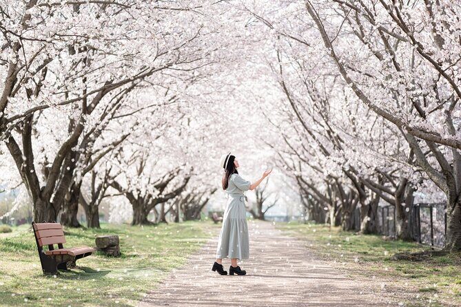 1 Hour Private Photoshoot in Osaka - Review Highlights & Authentic Insights