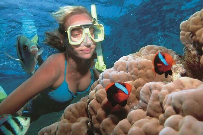 1 Hour Private Snorkeling Activity In Montego Bay - Who Should Consider This Tour?