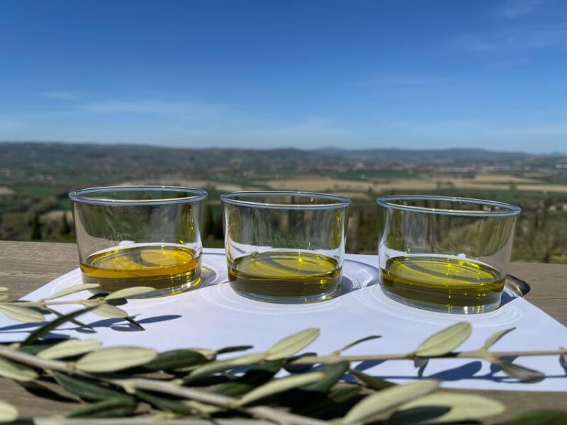 1-Hour Private Tour of the Oil Mill with Tasting - Exploring Umbria’s Olive Oil Heritage: An In-Depth Review
