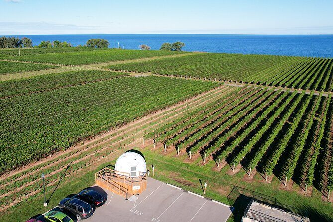 1 Hour Private Vineyard Dome Experience in Niagara-on-the-Lake - What You Should Expect During the Tour