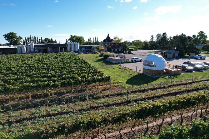 1 Hour Private Vineyard Dome Experience in Niagara-on-the-Lake - Practical Details: Booking and Logistics