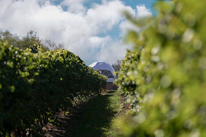 1 Hour Private Vineyard Dome Experience in Niagara-on-the-Lake - Who Should Consider This Tour?