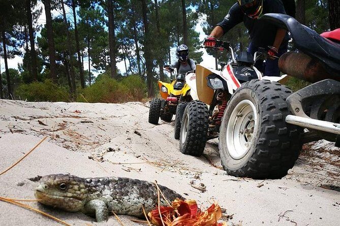 1 Hour Quad Bike Tours, only 30 minutes from Perth - What Makes This Quad Bike Tour Stand Out?