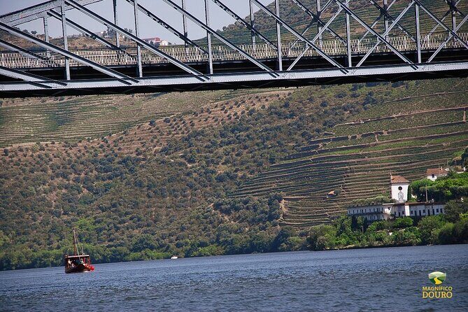 1-Hour Rabelo Boat Trip in Pinhão - An In-Depth Look at the Experience