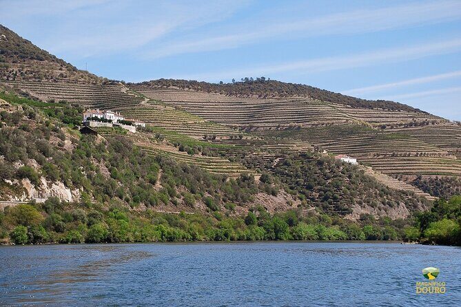 1-Hour Rabelo Boat Trip in Pinhão - Final Thoughts