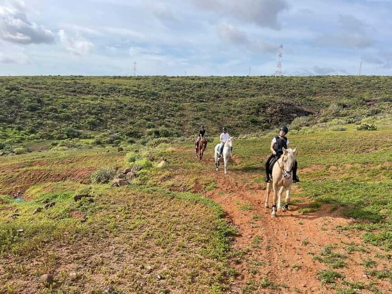 1 hour relaxing horse riding tour in Gran Canaria - Key Points
