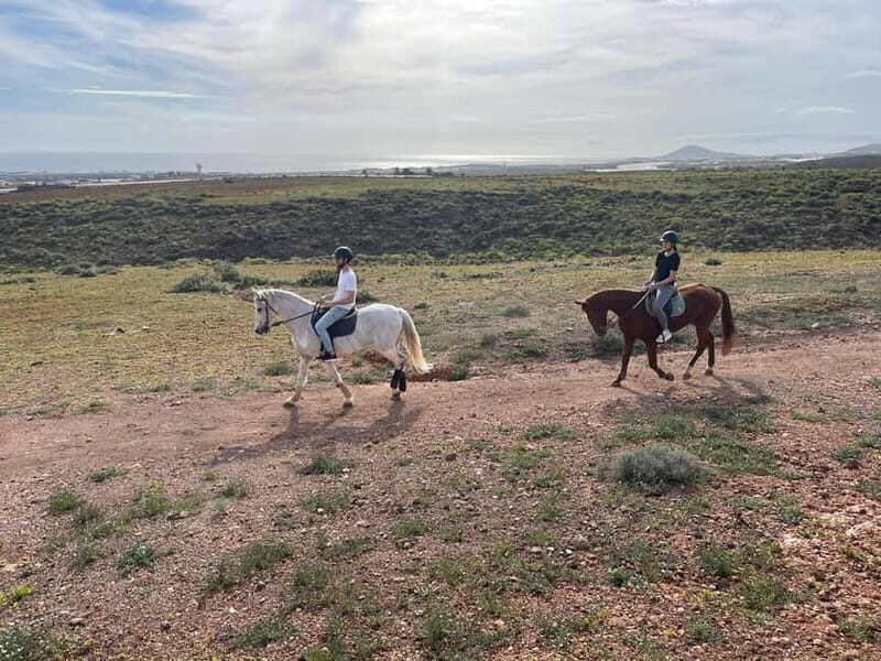 1 hour relaxing horse riding tour in Gran Canaria - An Honest Look at the Horse Riding Experience
