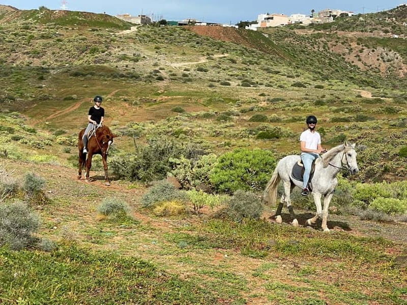 1 hour relaxing horse riding tour in Gran Canaria - Who Should Consider This Tour?