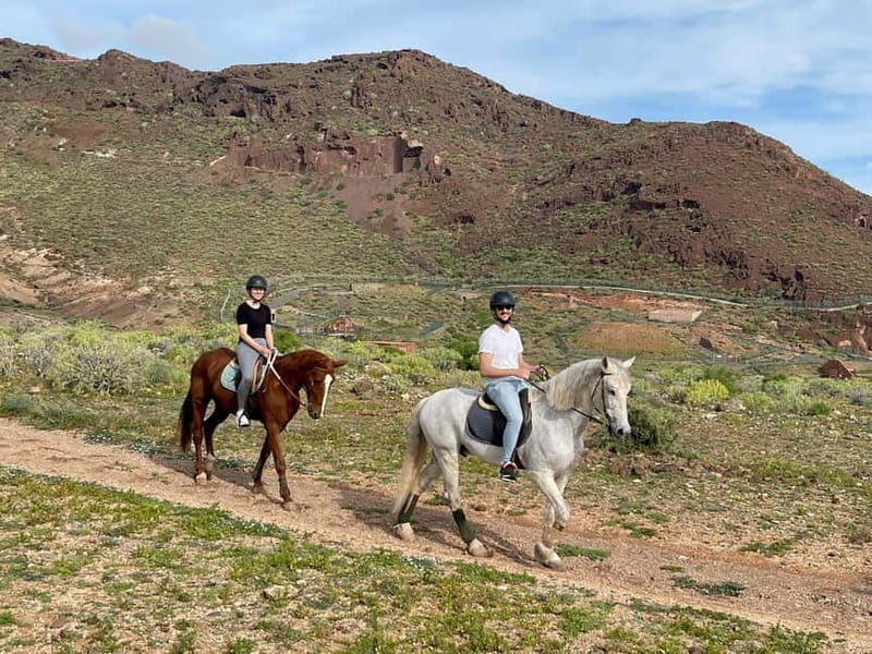 1 hour relaxing horse riding tour in Gran Canaria - Authentic Comments from Past Participants