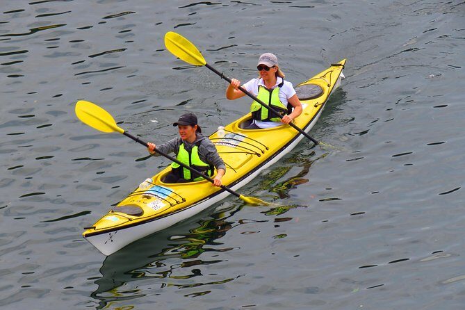 1 Hour Rental Deluxe Double Sea Kayak - An In-Depth Look at the Sydney Harbour Kayaks Experience