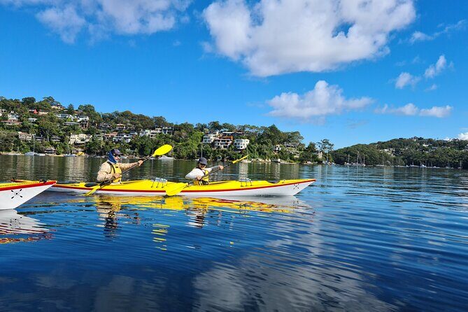 1 Hour Rental in a Deluxe Double Sea Kayak - Discovering Sydney’s Middle Harbour: What to Expect