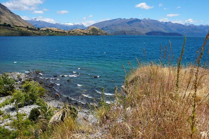 1-Hour Ruby Island Cruise and Walk from Wanaka - Authentic Experiences and Perceived Value