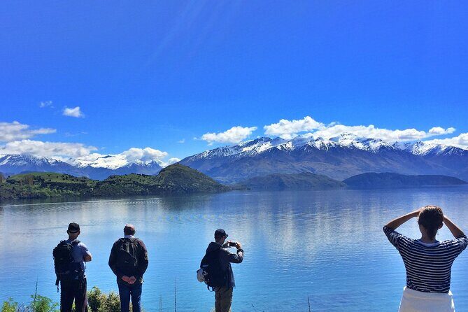 1-Hour Ruby Island Cruise and Walk from Wanaka - Who Will Love This Tour?