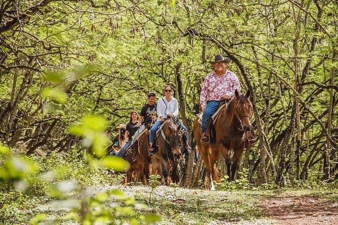 1 Hour Scenic Horseback Ride - Introduction
