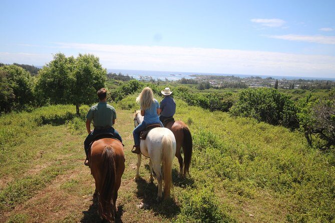 1 Hour Scenic Horseback Ride - Key Points