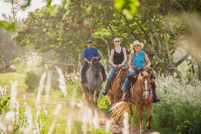 1 Hour Scenic Horseback Ride - Who Should Consider This Tour?