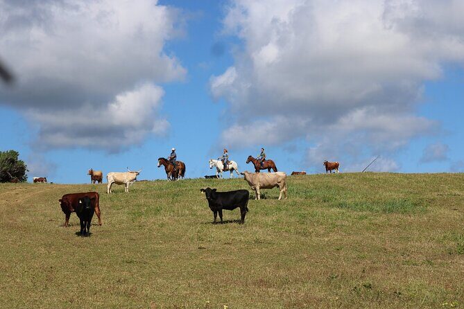 1 Hour Scenic Horseback Ride - FAQ
