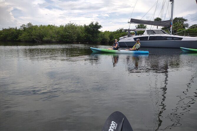 1-Hour Single Kayak Rental with Manatee & Dolphin sightings - What to Expect from Your Kayak Adventure
