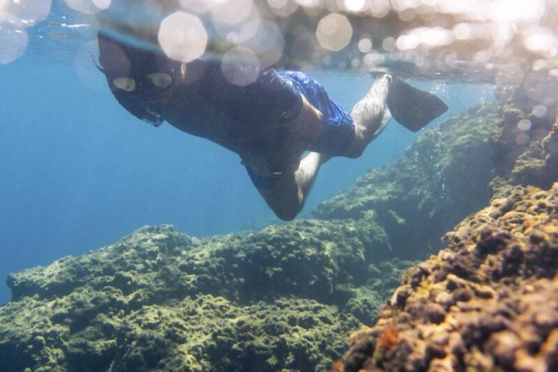 1-Hour Snorkeling Tour in Paraggi Bay, Portofino - A Detailed Look at the Experience