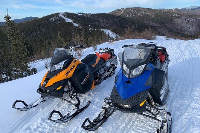 1-Hour Snowmachine Tour - Authentic Experiences Backed by Positive Reviews