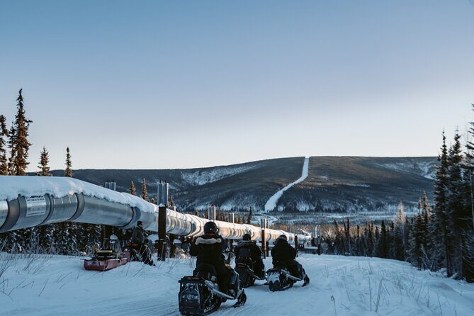 1 Hour Snowmobile Adventure in Boreal Forest - Key Points