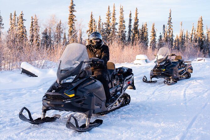 1 Hour Snowmobile Adventure in Boreal Forest - The Sum Up: Is This Tour Right for You?