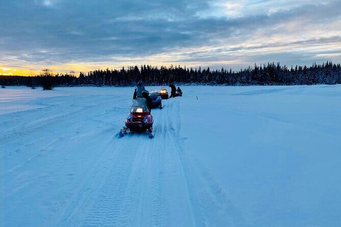 1 Hour Snowmobile Tour in Fairbanks Alaska - Why This Tour Is a Great Choice