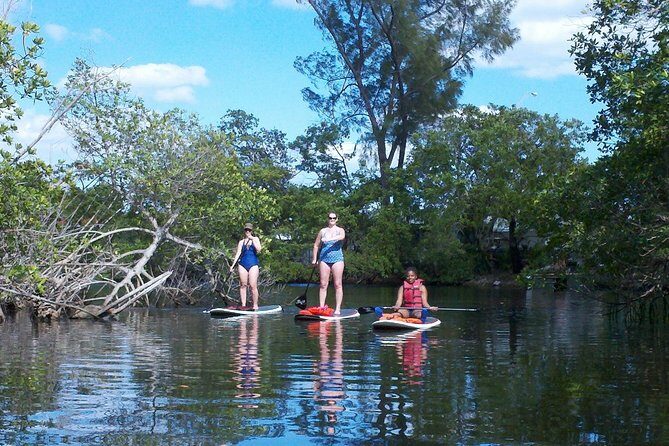 1 Hour Stand Up Paddle Board Lesson for Beginners with 1 on 1 Instructor Guide - Accessibility and Practicalities