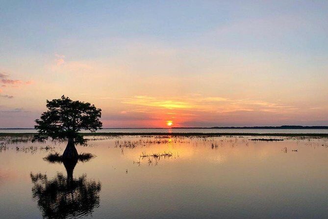 1-Hour Sunset Airboat Ride near Orlando - What the Reviews Say