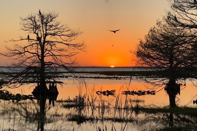 1-Hour Sunset Airboat Ride near Orlando - FAQ