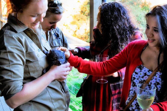 1-Hour Tasmanian Devil Feeding Day Tour at Cradle Mountain - Who Will Love This Tour?