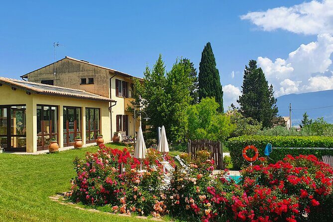1 Hour Tasting of Artisan Liqueurs in the Umbrian Countryside - Final Words
