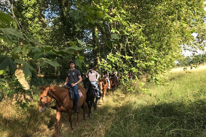 1-hour tourist walk with guide - A Guided 1-Hour Horse Ride Near Lyon – An Authentic and Scenic Experience