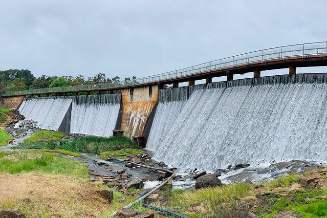 1 Hour Trike Tour for 2 in Mount and Lake Canobolas - What a Typical Ride Feels Like